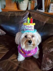 Testimonials - Midnight Acres Kennel