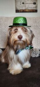 Testimonials - Midnight Acres Kennel